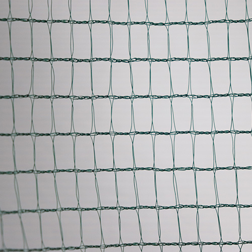 Olive net