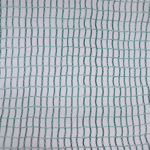 Olive net