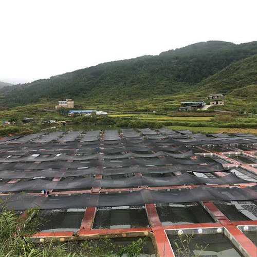 Agricultural shading net